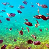 Ocean Knowledge – WRI Ocean Panel