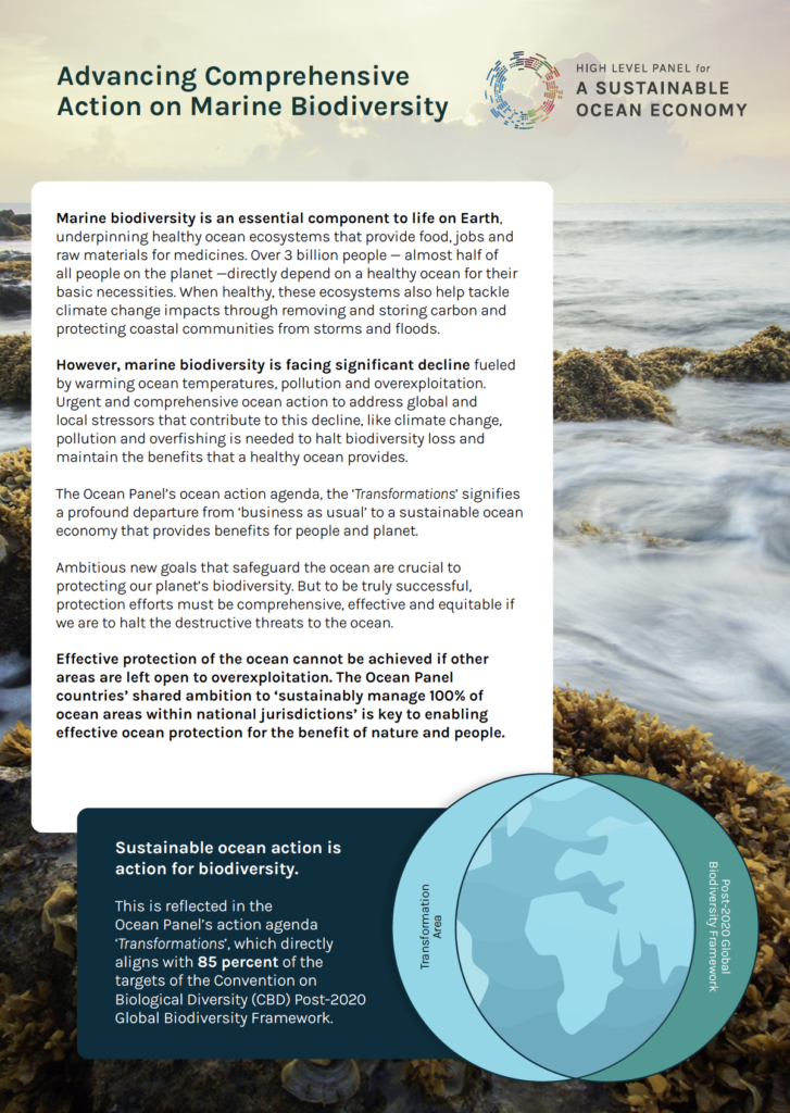 "Top 10 Ocean Events at COP15 You Can't Miss - Ocean Panel"