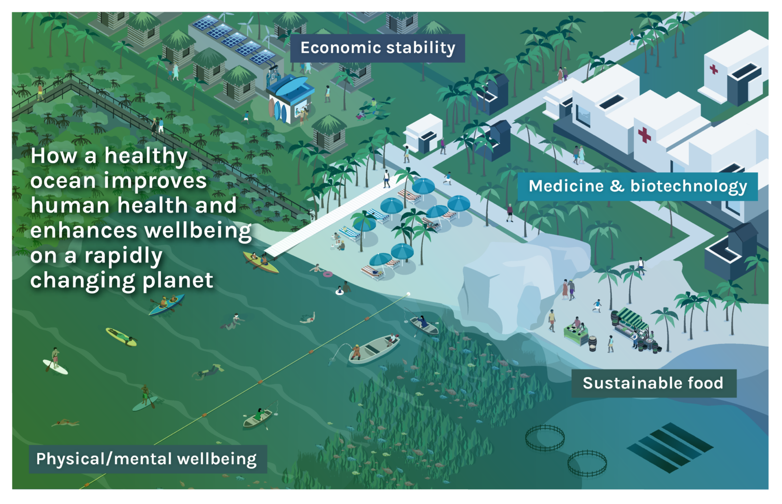 "Unlocking Ocean Health: A Path to Human Wellbeing - Ocean Panel"