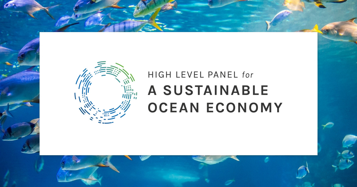 100% Alliance for Sustainable Ocean Management - Ocean Panel